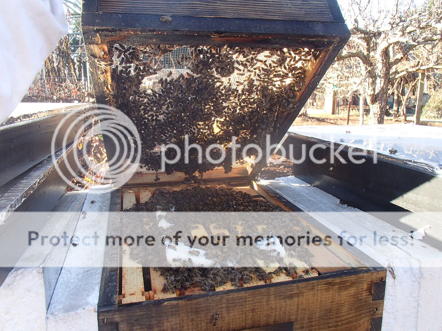 Dry sugar on wintering inner cover? | Beesource Beekeeping Forums